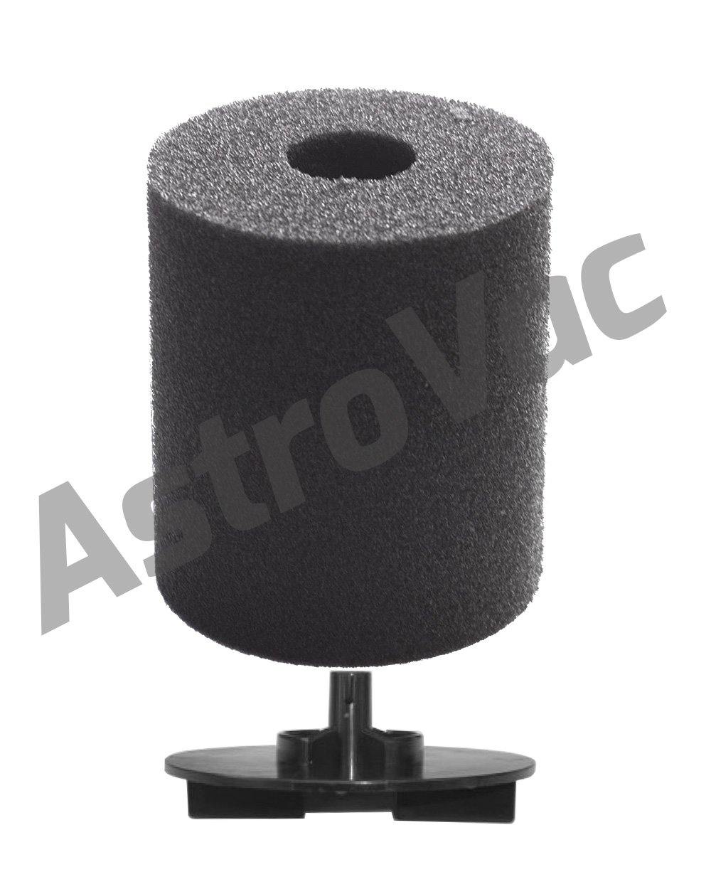DAS DV2 Cartridge-To-Foam Filter Changeover Kit - S782 – AstroVac ...